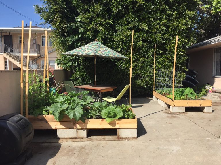 Free Seed Database / Garden Planner Spreadsheet - Front Yard Veggies