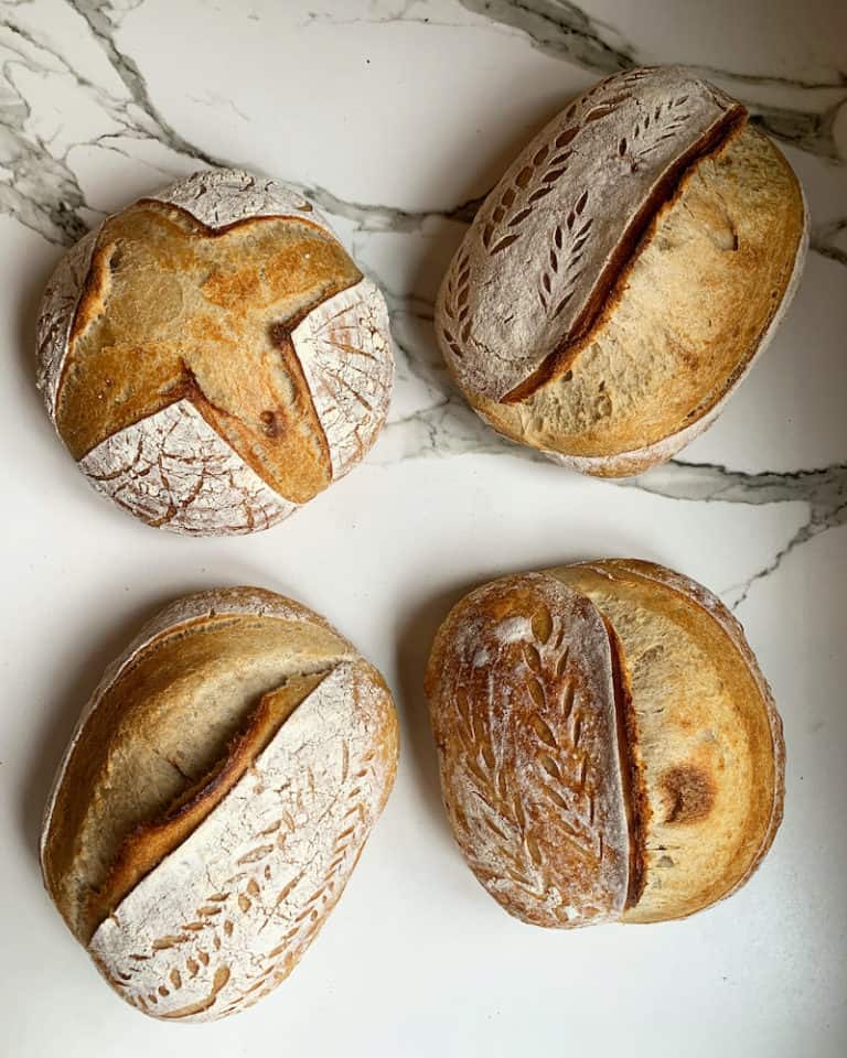 Whole Grain Rye Bread Bread Machine Recipe Front Yard Veggies